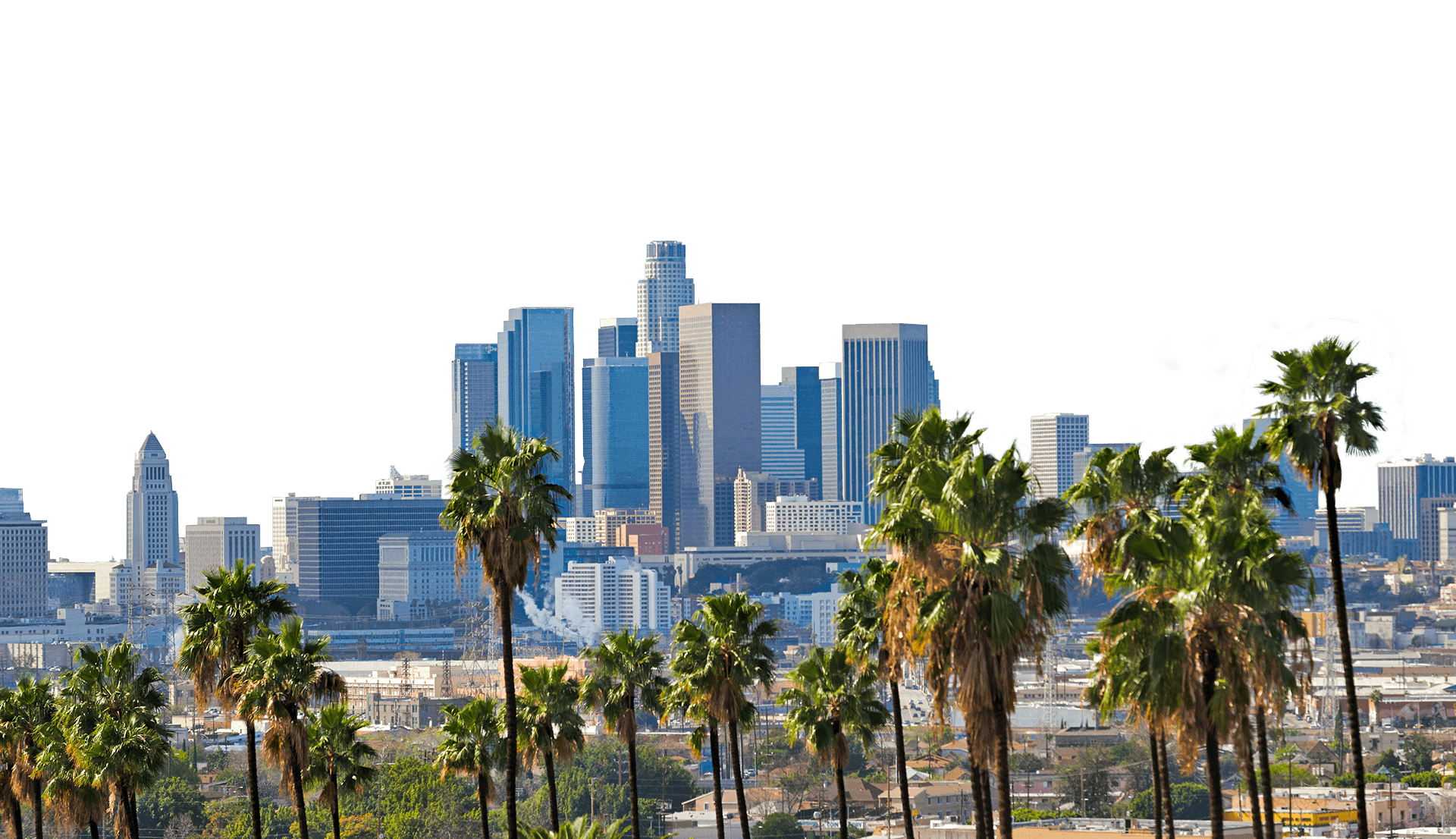 Our offices at Los Angeles - La Synapse